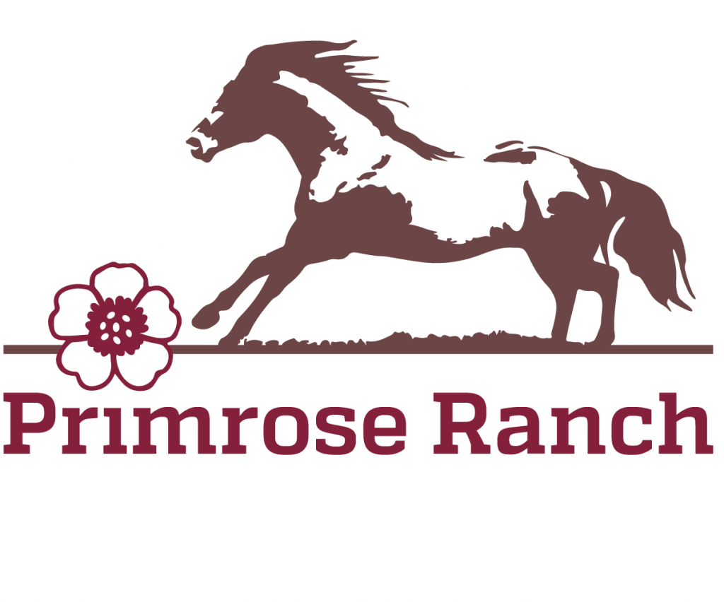 Primrose Ranch – Quarter Horses NRW – Wild West Marketplace